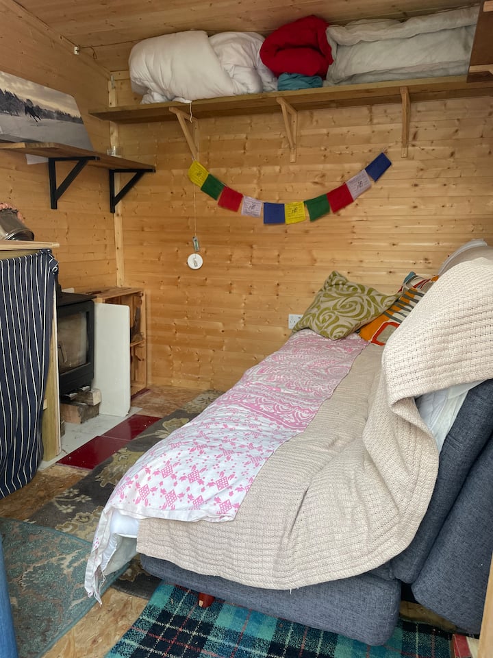 Budget Friendly Back Garden Shed - Livingston