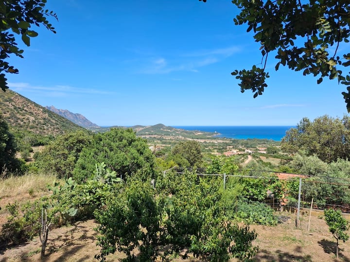 Bonghino 3 - Tertenia