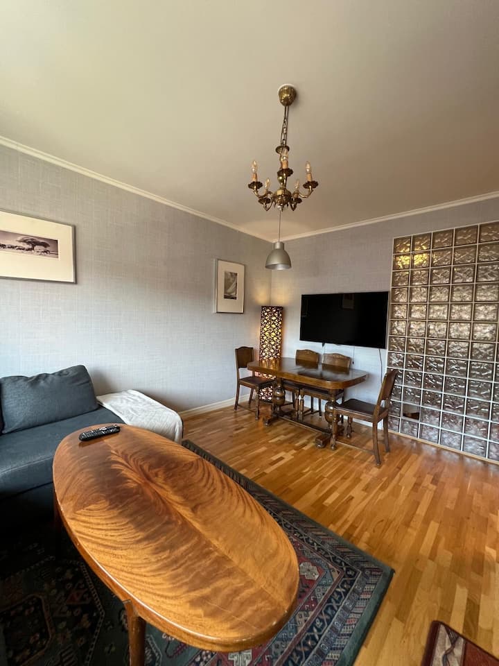 Cozy Central City Room In Oslo - Oslo