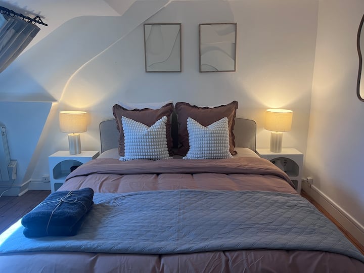 Confort Et Vidéoprojecteur - Proche Centre Ville - Tours