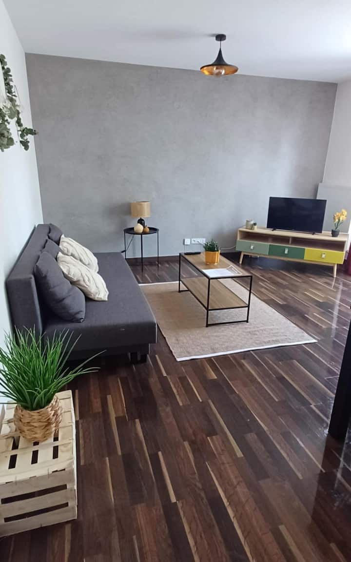 Charmant Petit Duplex - Annecy