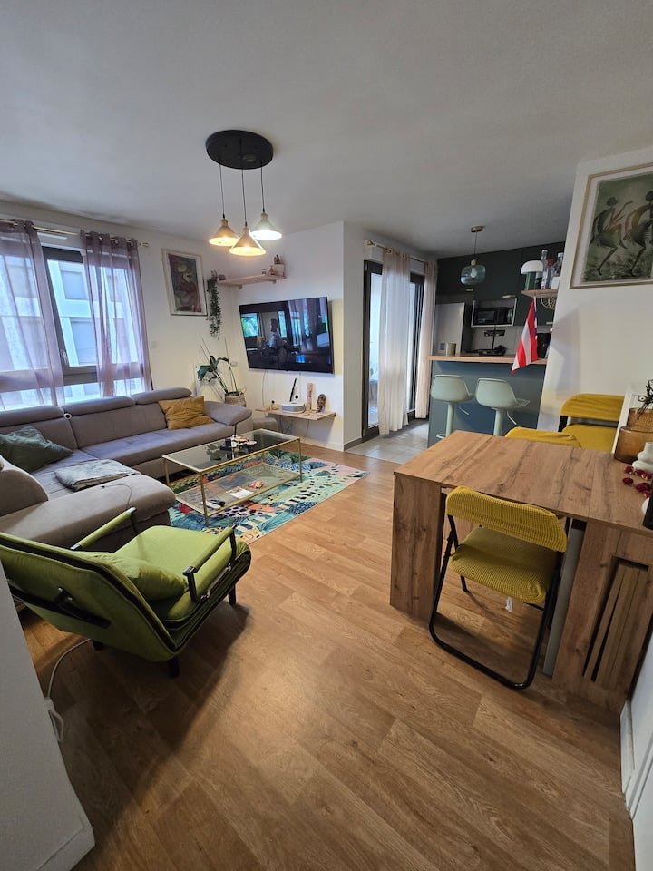 Appartement 45m2 Moderne Et Pratique - Rosny-sous-Bois