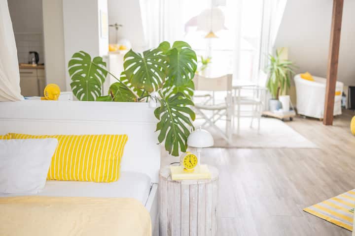 Thesunnymilkandhoney - Oldenburg