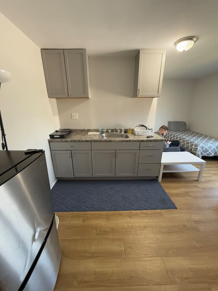 Dlx Studio In Heart Of Livonia - Paradise Park, Novi