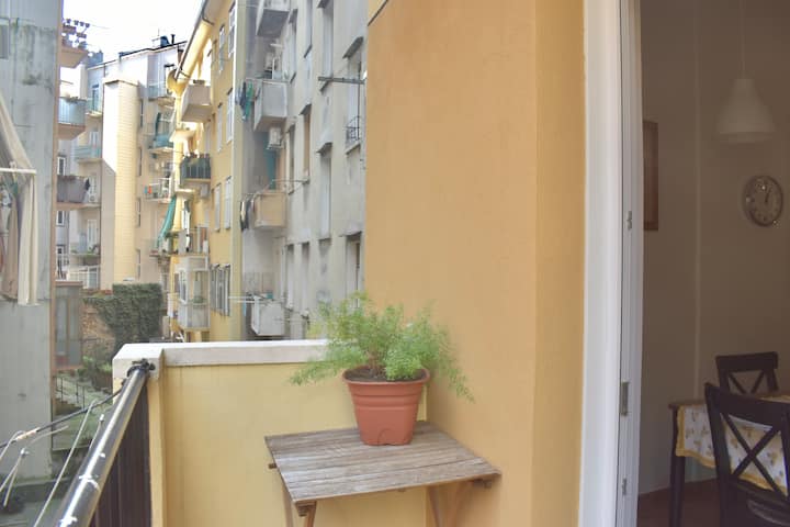 Roiano Cinque - Triest