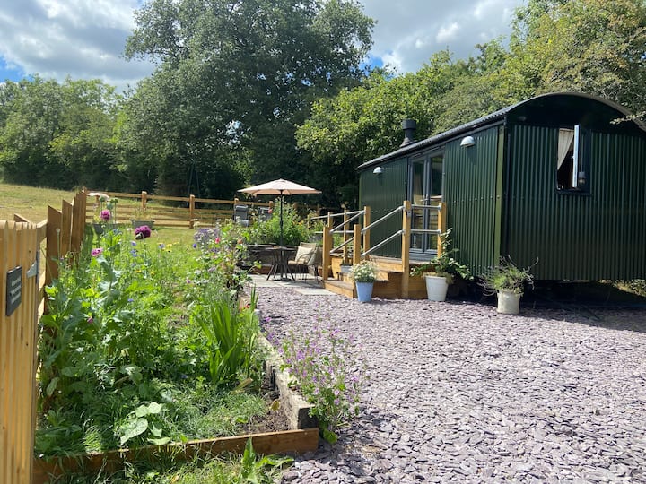 Pumpkins Patch Shepherds Hut - United Kingdom