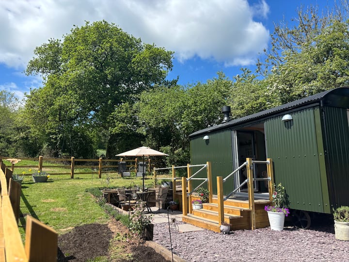 Pumpkins Patch Shepherds Hut - Somerset