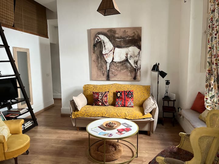 Apartamento Con Encanto Vintage Y Muy Amplio - Sevilla