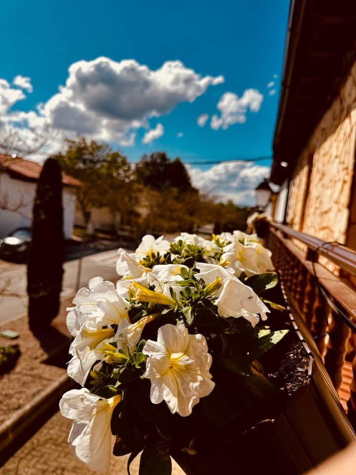 Casa Villa Alexandra - Navarra