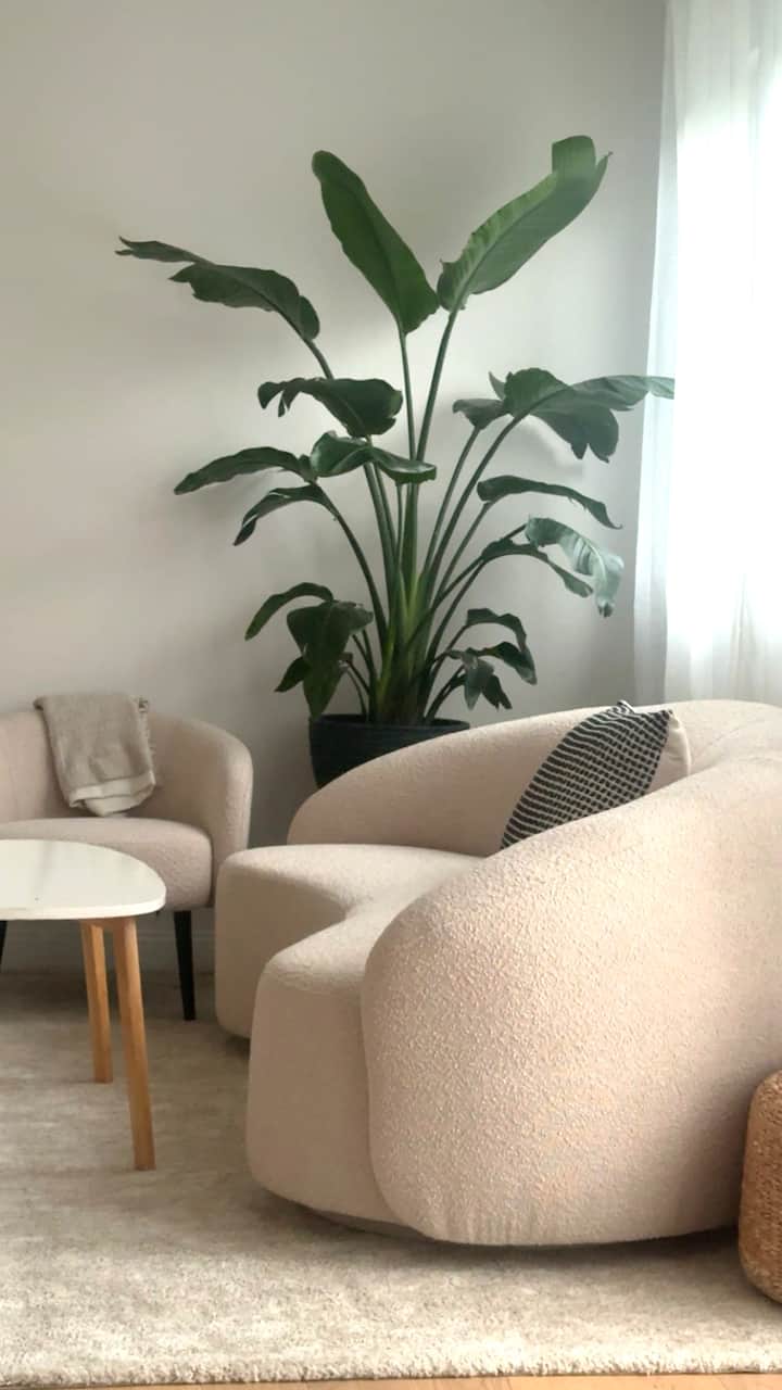 Maison Lumineuse Pour Shooting. - Lille, France