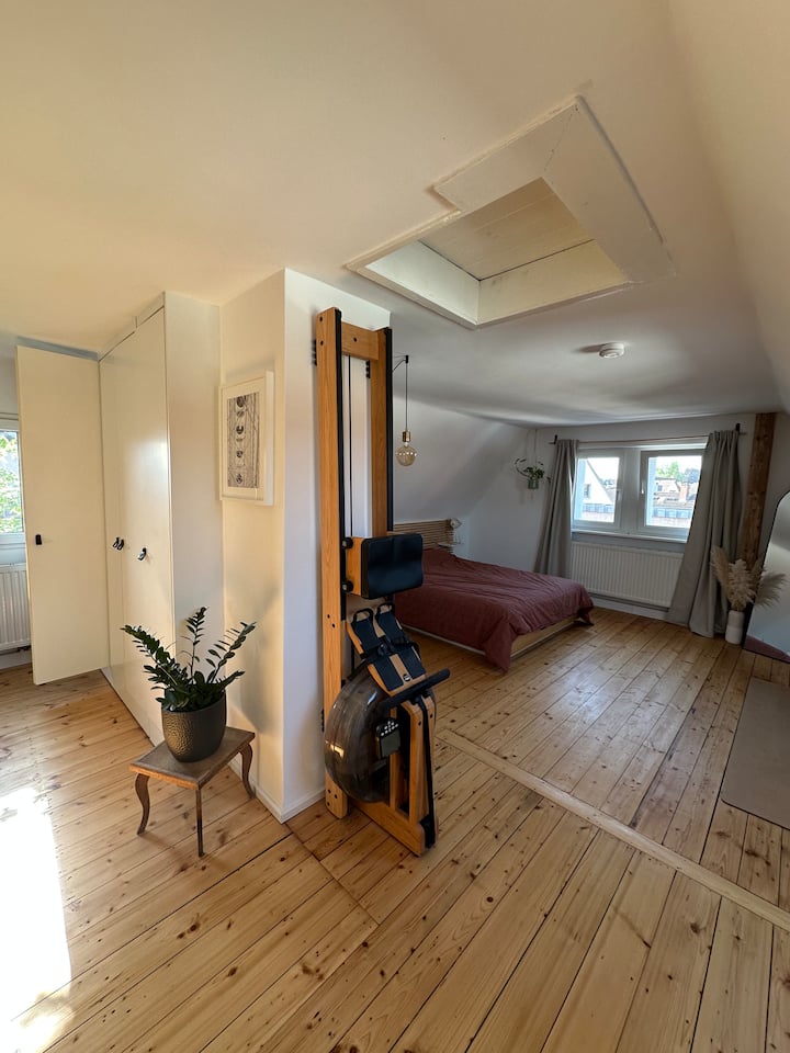 Sonnendurchflutetes Zimmer - Darmstadt