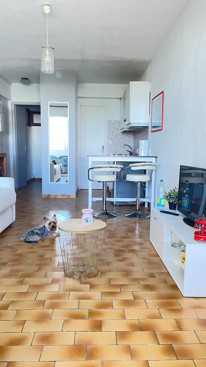 Studio à 300 Mètres De La Plage - Plage de Sète