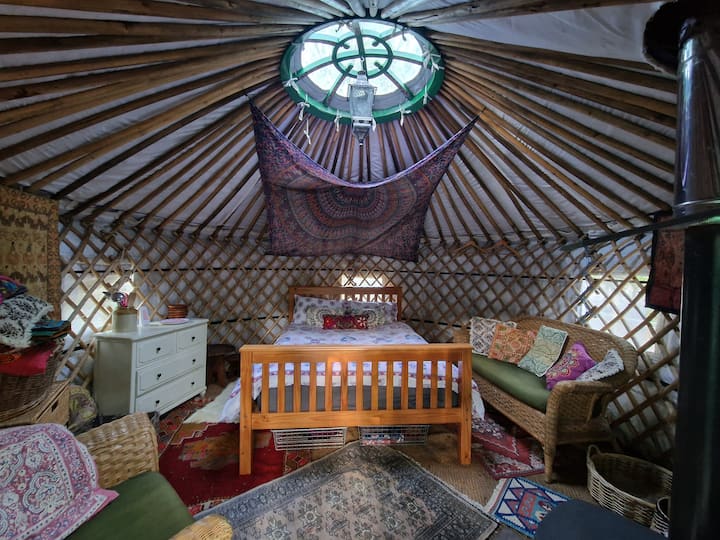 Mongolian Yurt Stay With Alpacas & Goats - Dundee