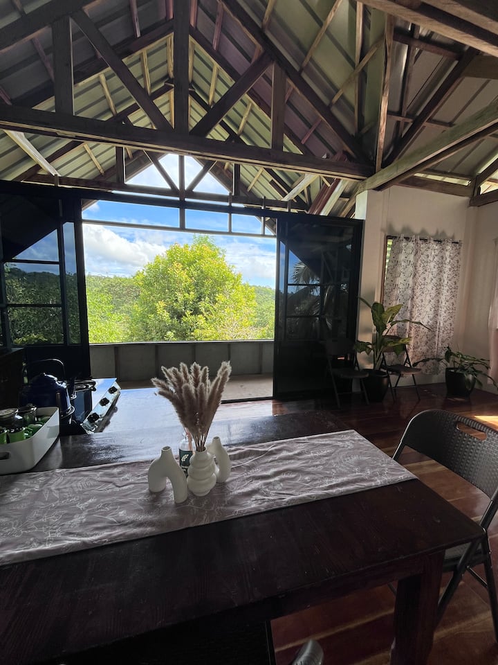 Hilltop House 100m From Cambugahay Falls - Lazi