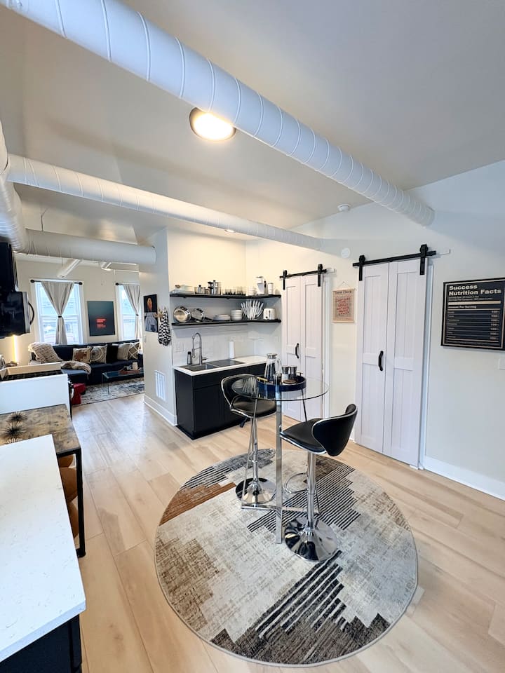 Ultra-modern 2br In Pilsen | Steps To Pink Line - Washington Park - Chicago