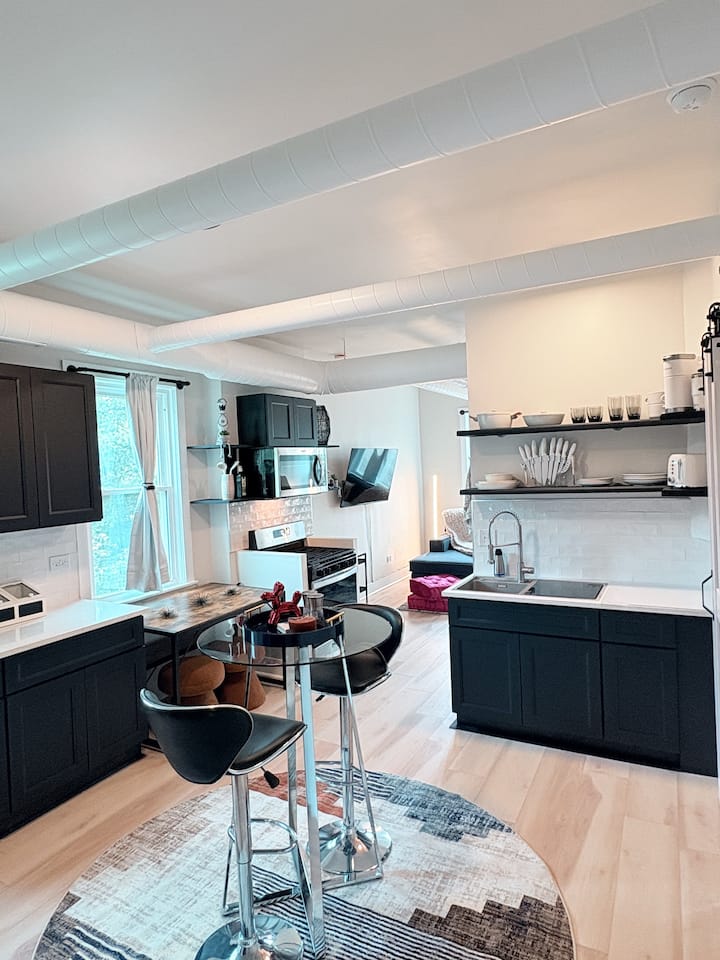 Ultra-modern 2br In Pilsen | Steps To Pink Line - Englewood - Chicago
