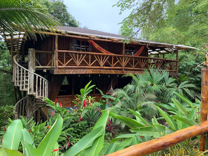 Hospedaje En Manta, Manabi. Bosque Y Playas - Manta