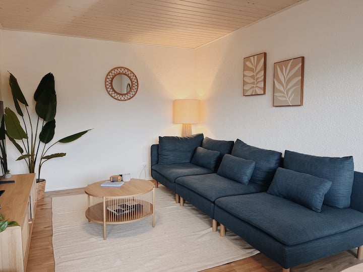 Two Private Apartments - Lake & Alp View - Parking - Thoune