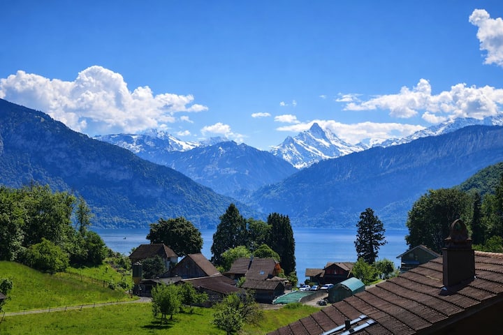 Two Private Apartments - Lake & Alp View - Parking - Thun