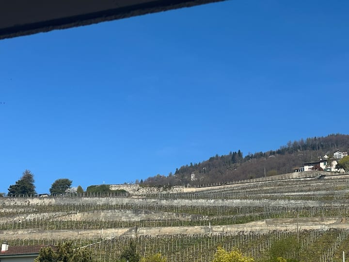 Entre Lac, Vignes Et Montagne - Vevey