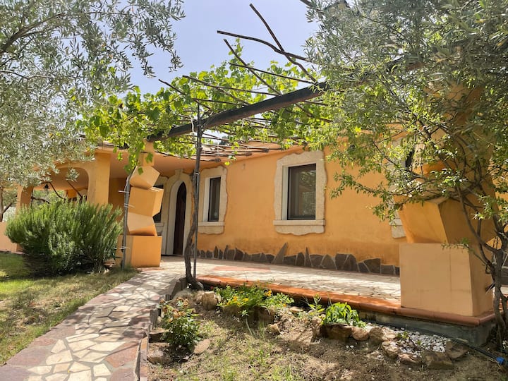 Casa Pina - Arzachena