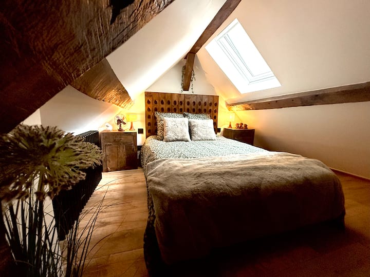 L’évidence Champenoise - Épernay