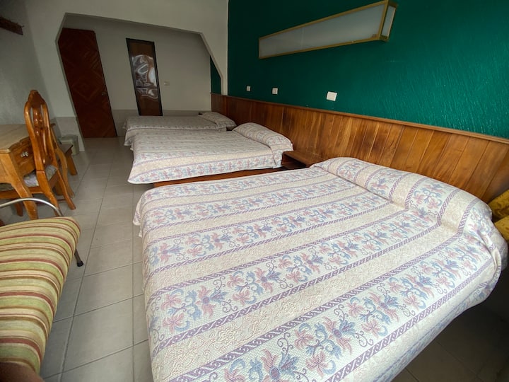 Departamento Zona Clásica - Xalapa