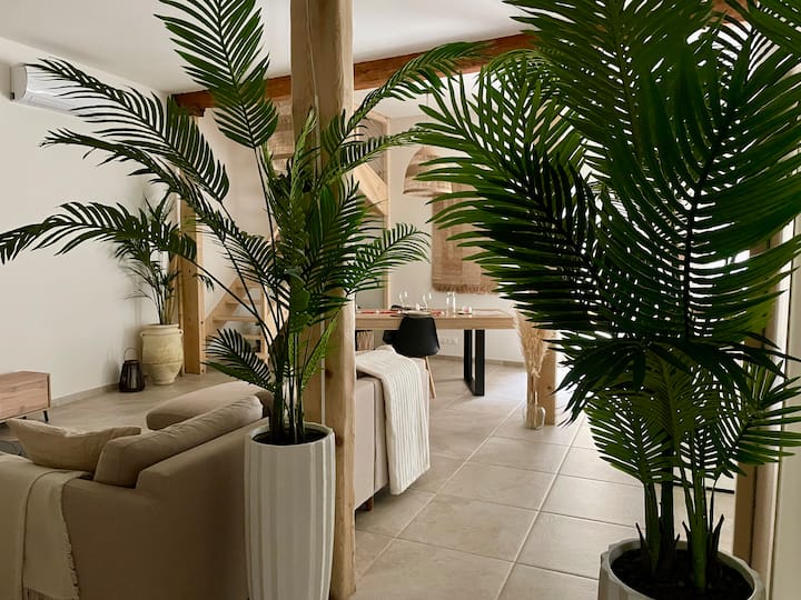 Villa De Charme Avec Spa - Pamiers