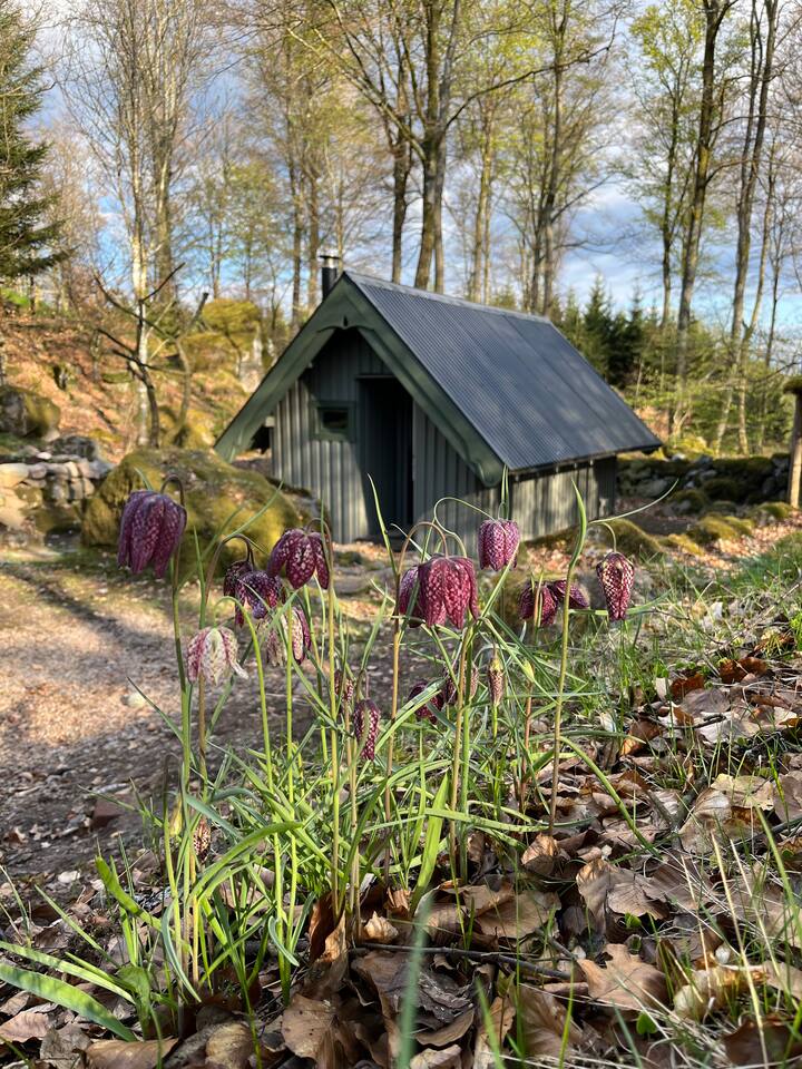 Mysig Stuga I Skogen Off-grid - Tyringe