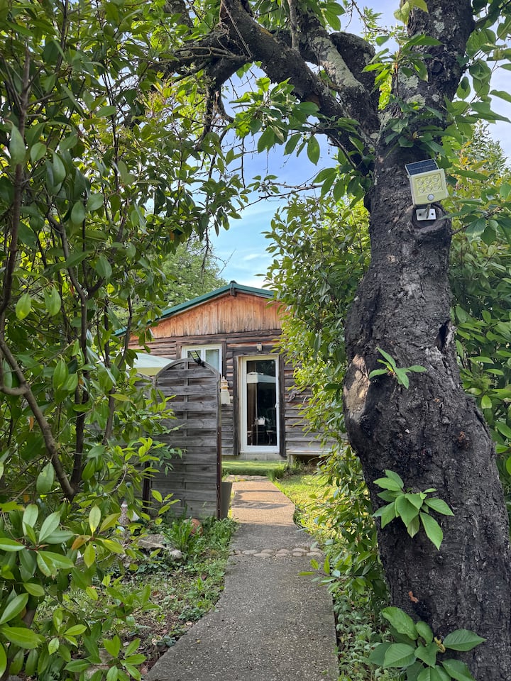 La Cabane Au Fond Du Jardin - Avignon