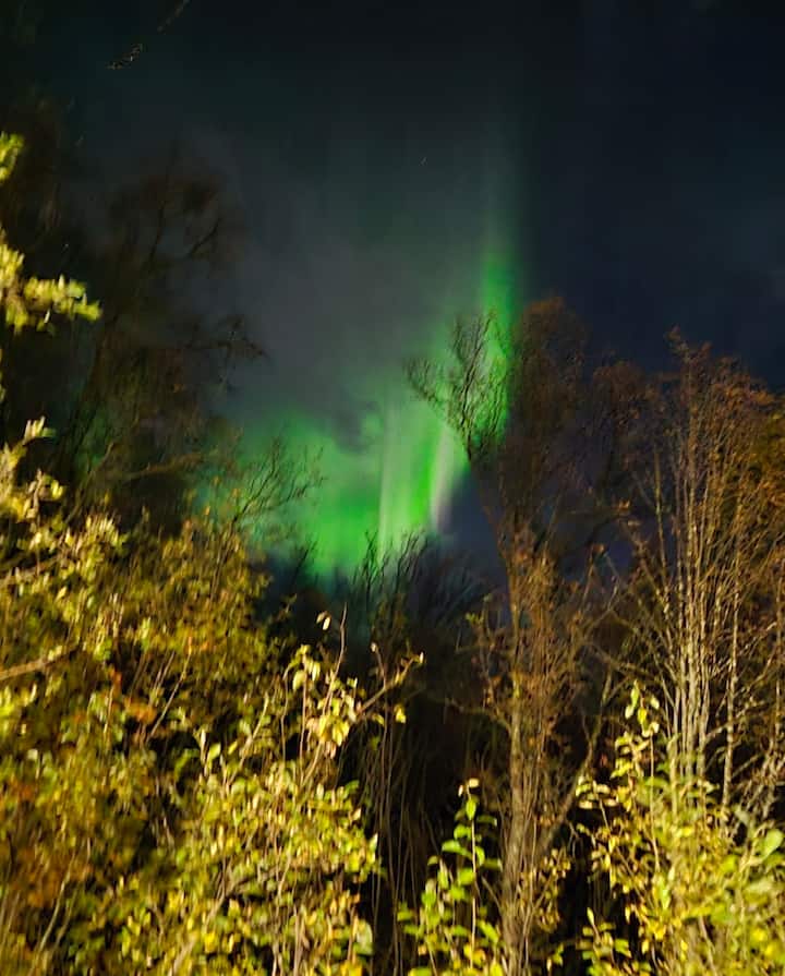 Se Nordlys Fra Markterrassen, En Parkeringsplass - 트롬쇠