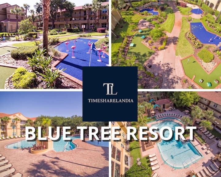 Blue Tree Resort One Bedroom Suite - Orlando, FL