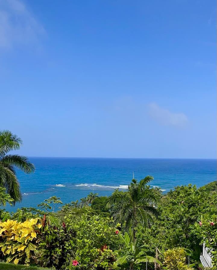 Sandys Oceanview Vacation Villa & Venue- 5-7bd - Jamaica