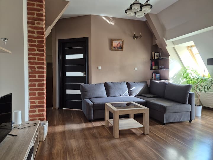 Individual And Cosy Apartment Invites - Szczecin
