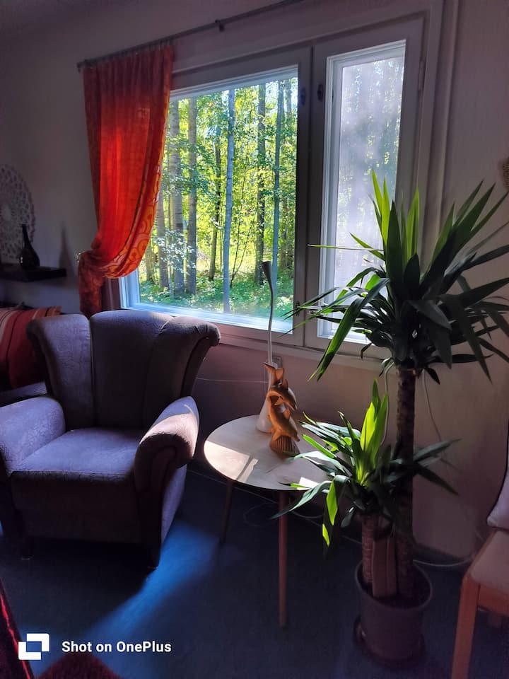 House Near The Beach - Savonlinna