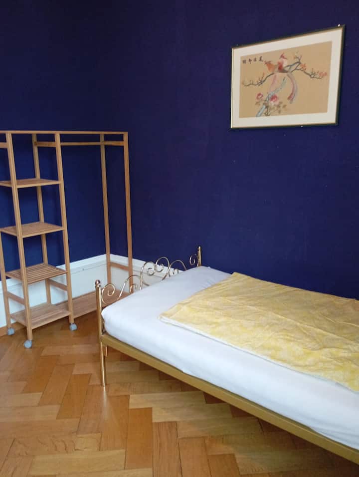 Kleineperle In Charmantem Altbau - Basel