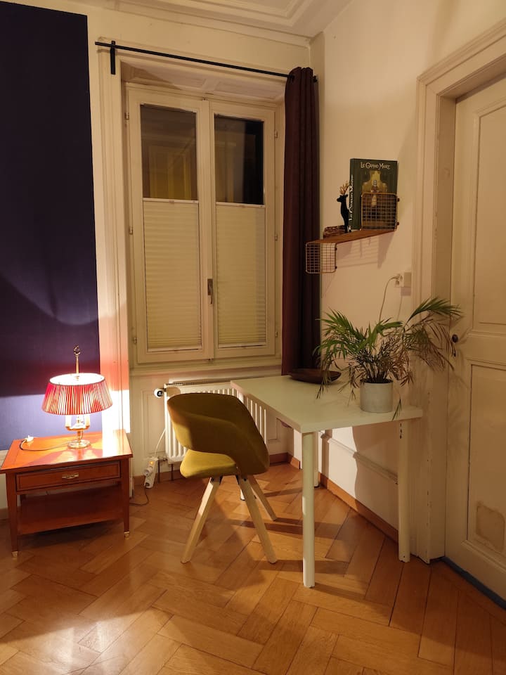 Kleineperle In Charmantem Altbau - Bazel