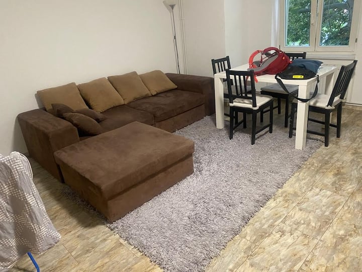 Big Renovated Apartment - Magdeburg