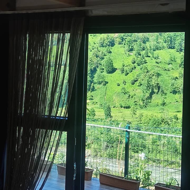Doğanın Kalbinde Huzurlu Ahşap Ev - Rize