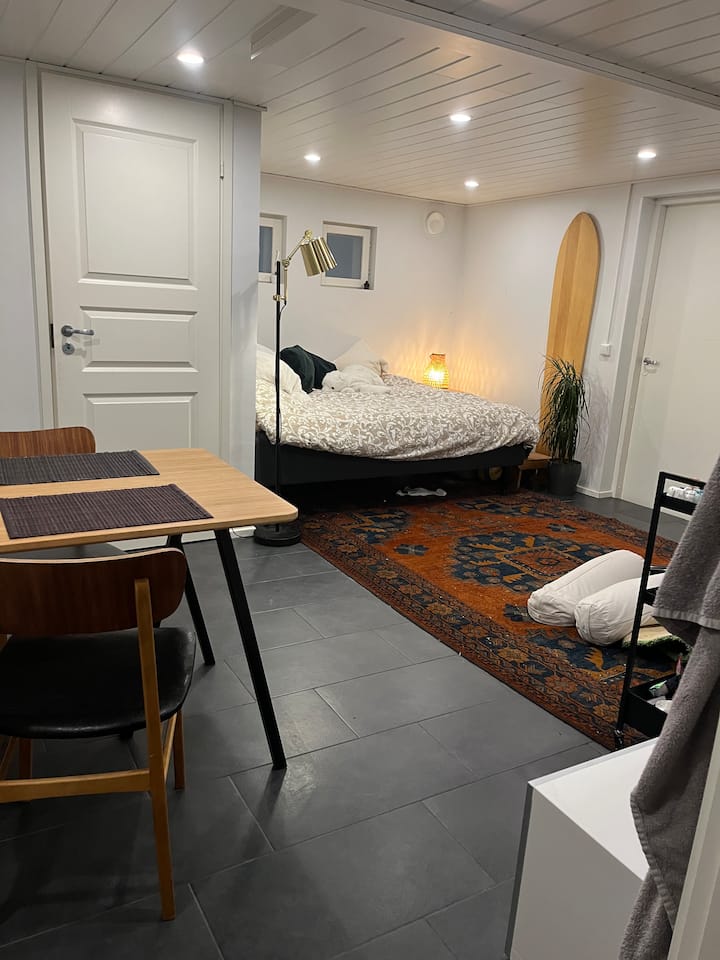 Cozy Basement Apartment With Private Sauna - Helsinki