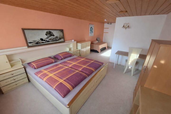 Ernas Raupennest - Dresden