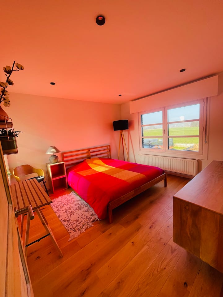 Expat Room Zelzate - Zelzate