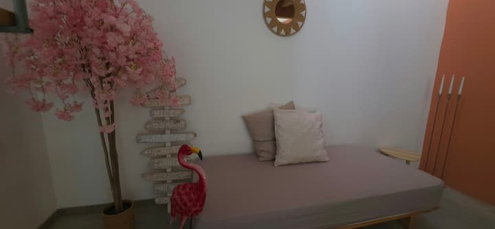 Gîte Camargue - Beaucaire