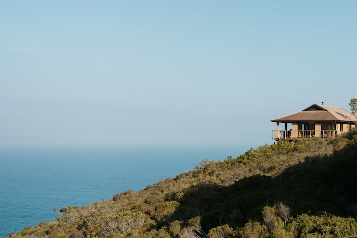 Ocean's Edge - Wilderness