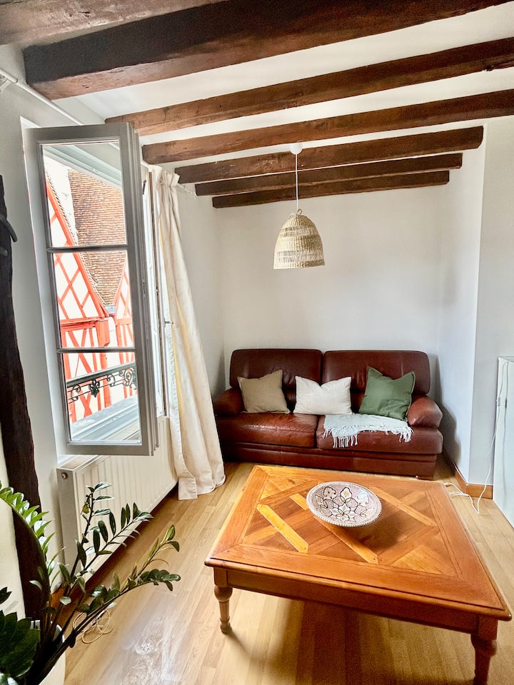 T2 Rénové – Centre Bourges, Calme & Literie Neuve - Bourges