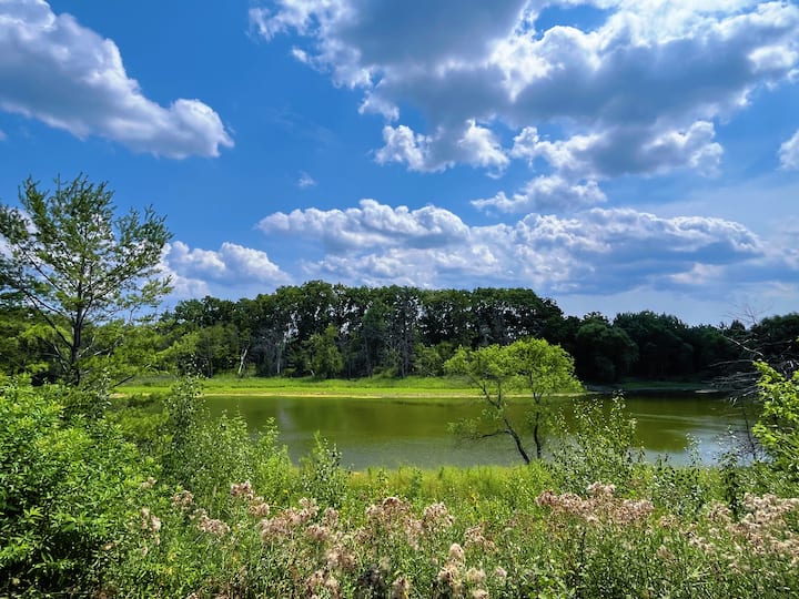 Beautiful Pond View Walkout Bsmt - Toronto