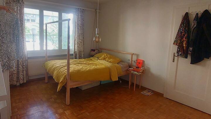Cozy Bern Flat - Berne