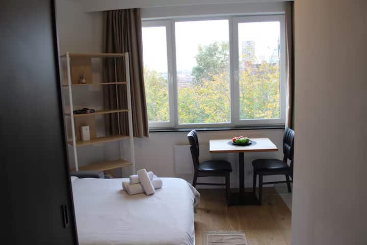 Elegant Renovated Studio, City Center Bruxelles - Brussel