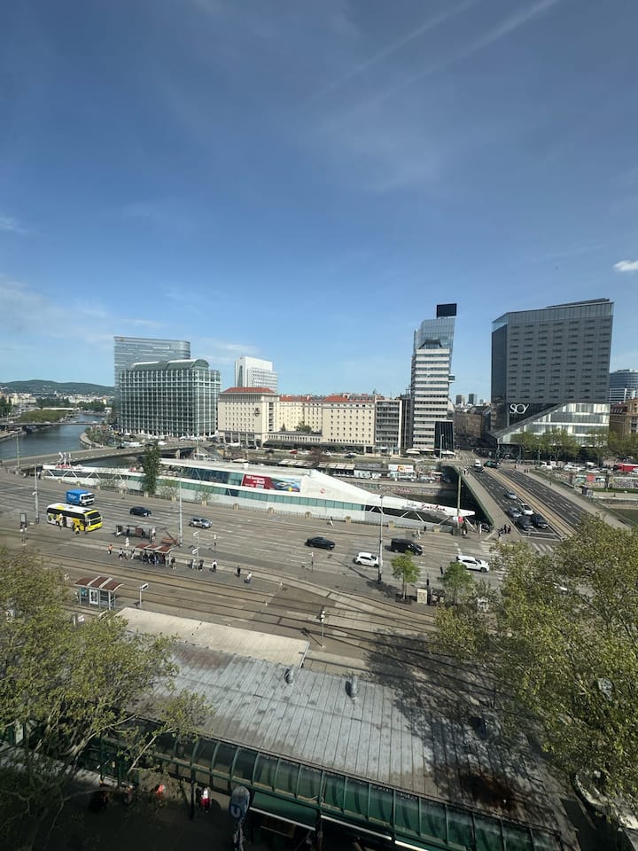 Cosy City Flat - Vienna