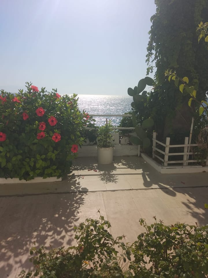 Kuşadasi öZel Plajlı Ve Havuzlu - Kuşadası